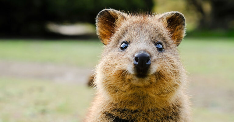 Creating Memorable Customer Experiences in the Hospitality Industry ...